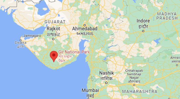 Where is Gir National Park located? - Where | Where Is It | Answers