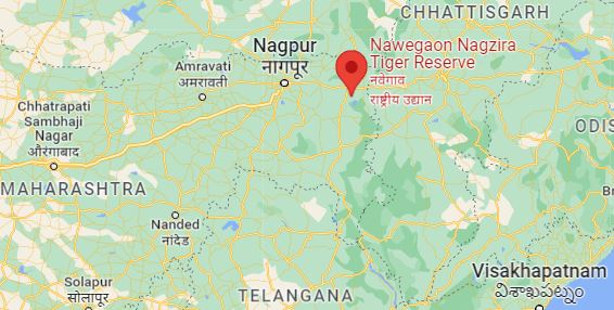 Where is Nawegaon Nagzira Tiger Reserve located? - Where | Where Is It ...