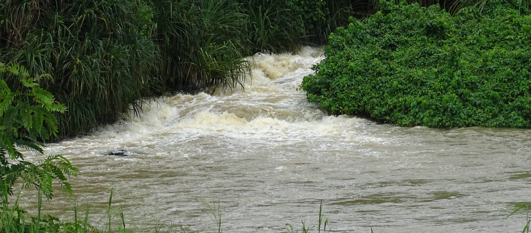 Location of Bandama River: A West African Waterway