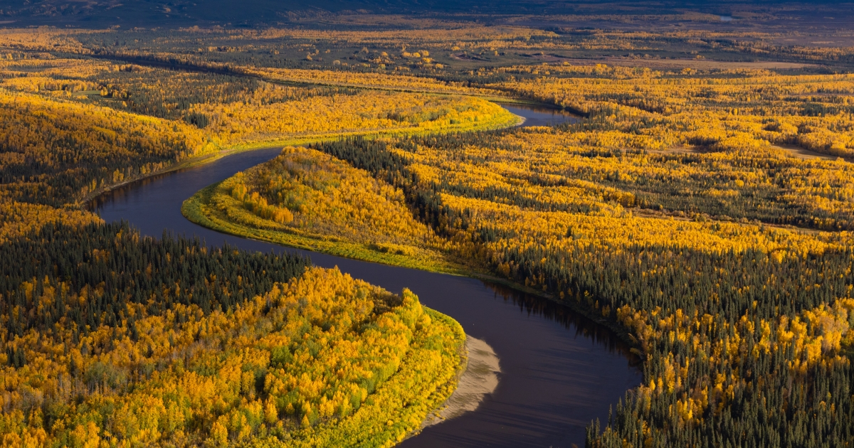 Discover the Nowitna River: Alaska's Hidden Gem